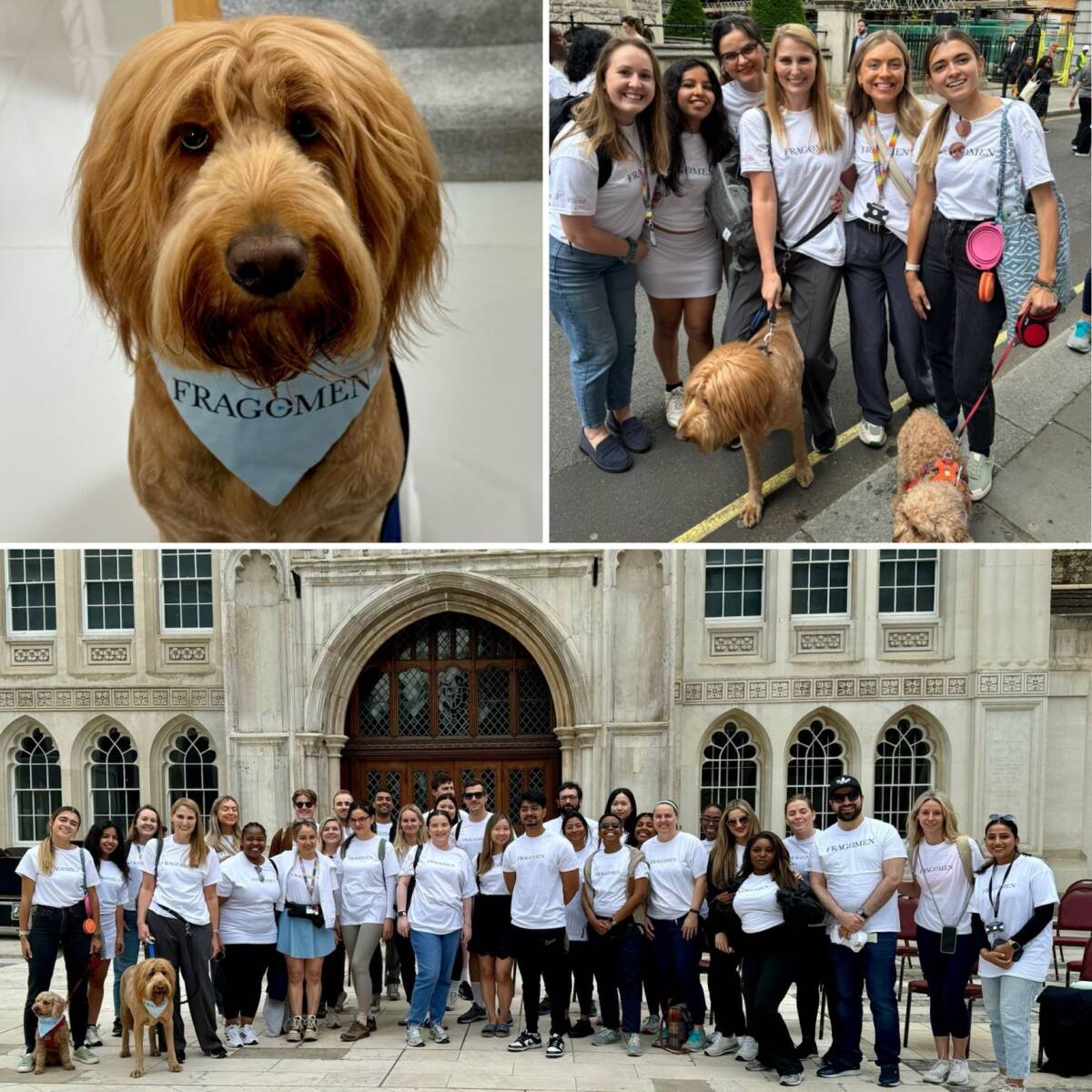 London Legal Walk 2024 - Photo Competition - London Legal Support Trust ...
